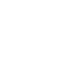 About – Robust Engineering Services